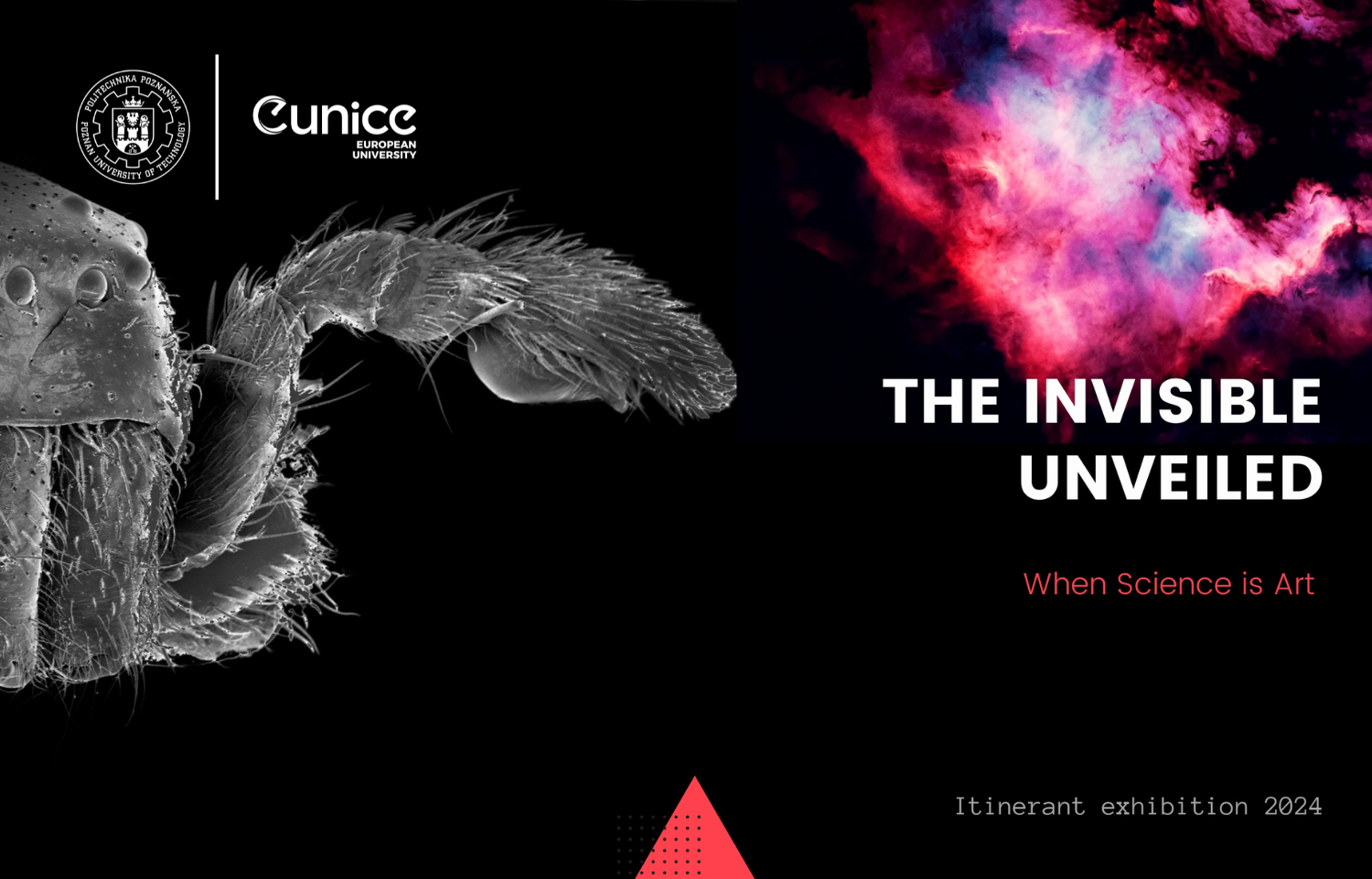 The Invisible Exhibition